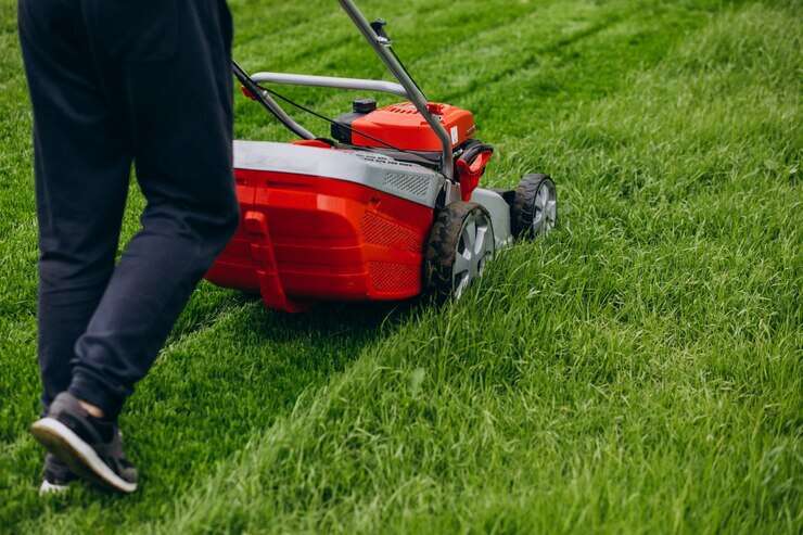 Mow Your Grass Off - Professional Lawn Care Services